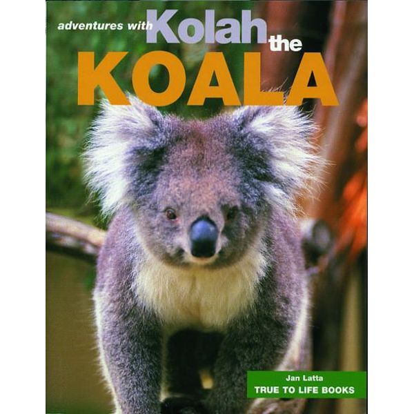Kolah the Koala, True to Life Books eBook by Jan Latta | 9780980795899 ...